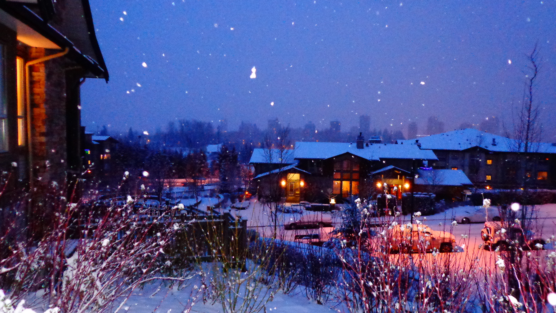 A poem about the first snowfall of the season – SEVEN CIRCUMSTANCES