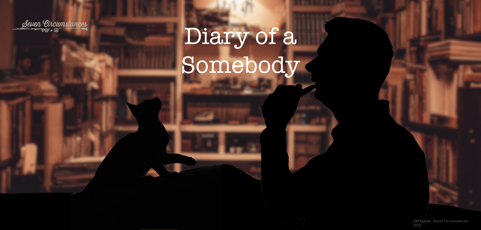 A novel about a poet that’s filled with delightful poetry – Diary of a ...