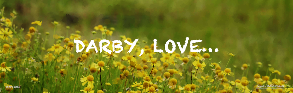 Lots to love about “Darby, Love…” – SEVEN CIRCUMSTANCES